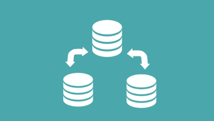 Data Everywhere | Grupo Dynasoft